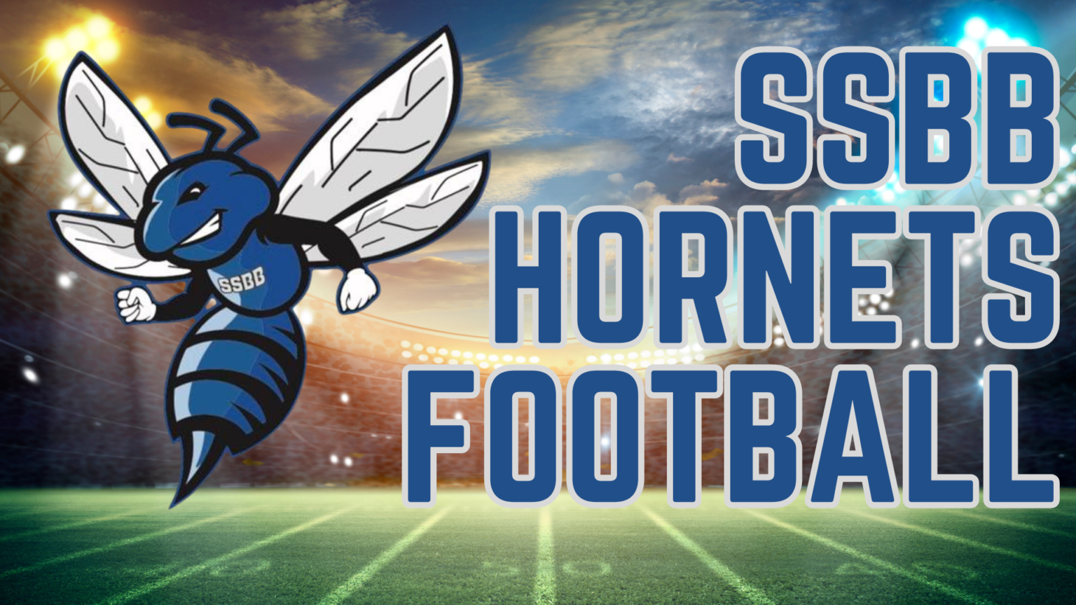 Lake Area Sports