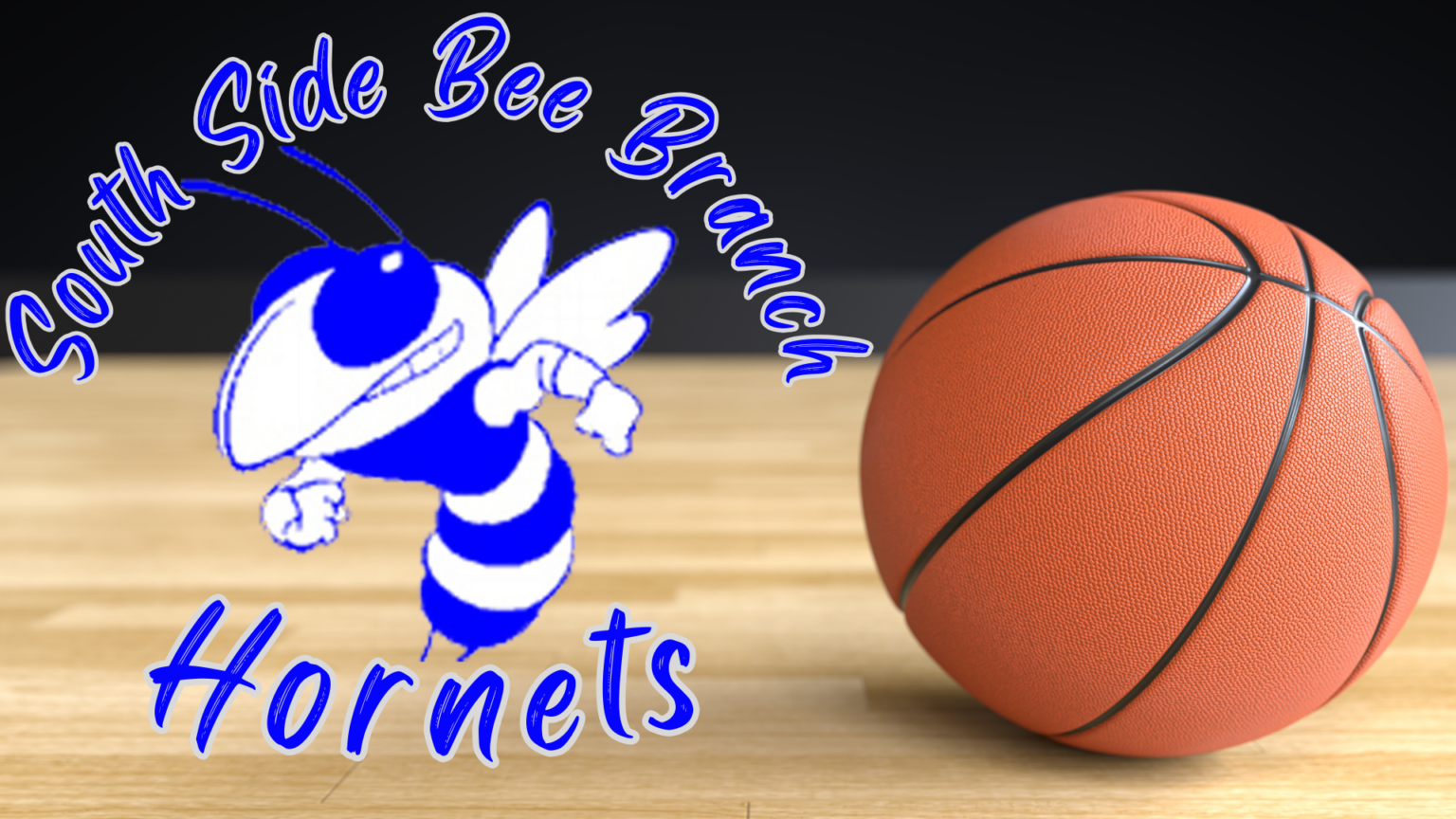 Lake Area Sports